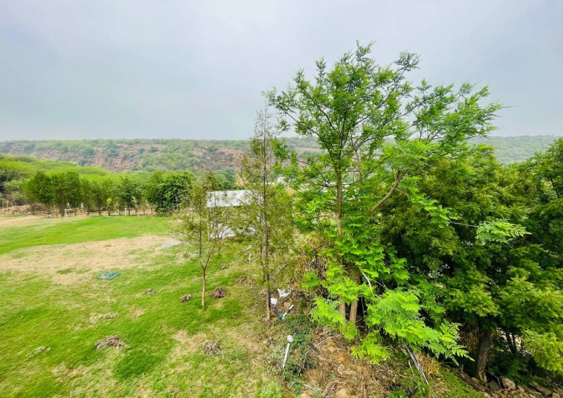 The Role of Farm Stays in Promoting Eco-Tourism | Farm Aravalia