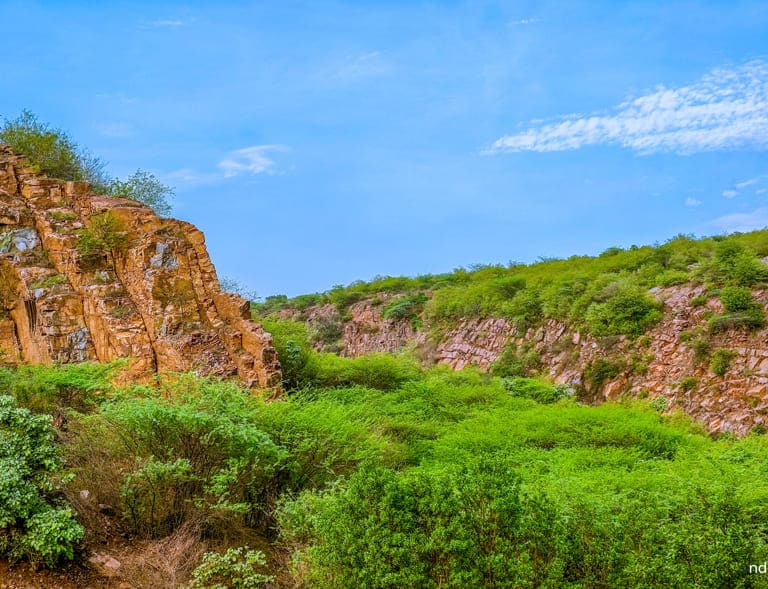 Exploring the Biodiversity of the Aravalli Range at Farm Aravalia